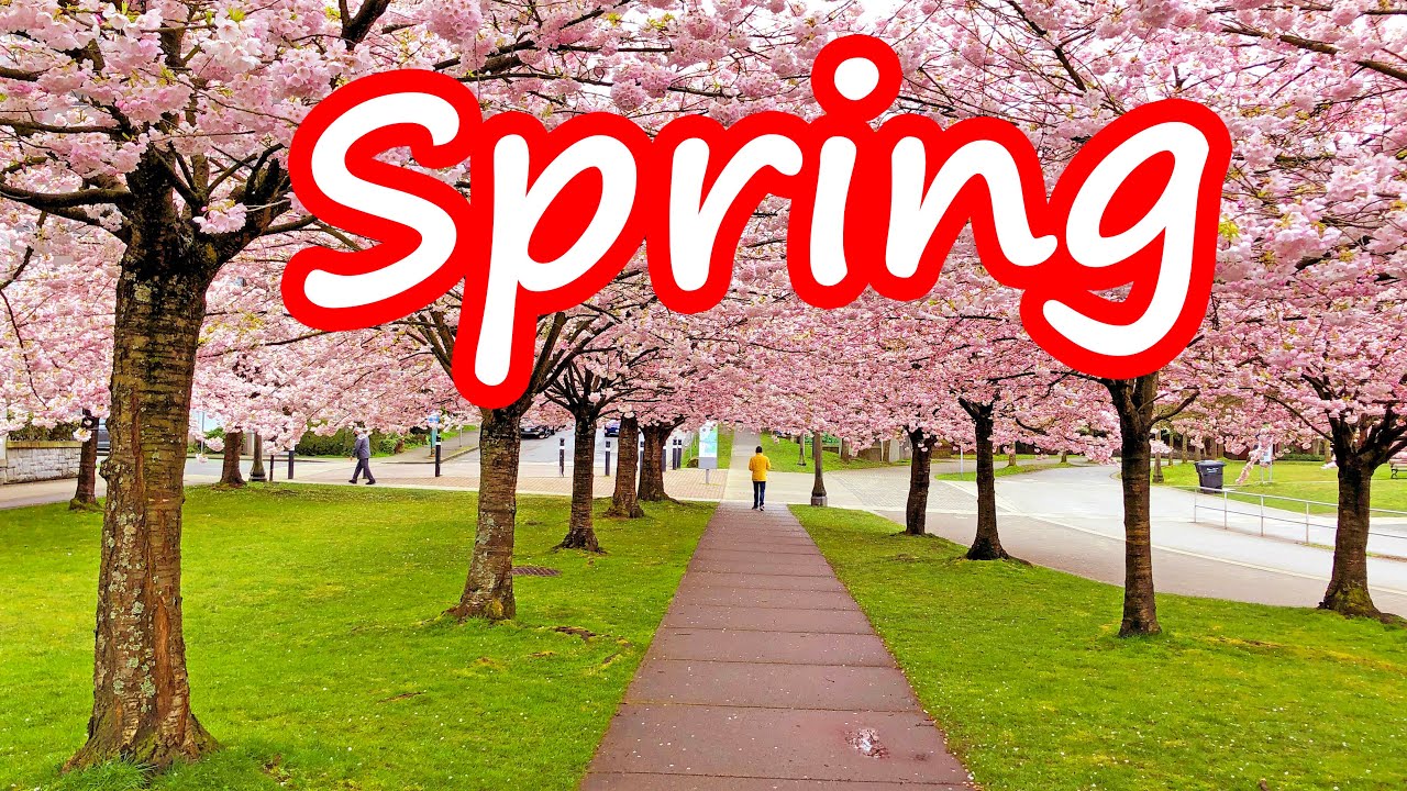 Spring season, Vancouver BC, Canada - YouTube