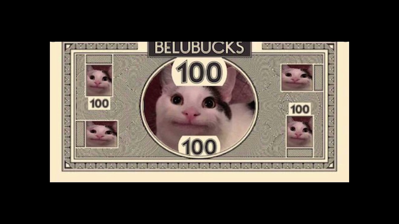 BELUBUCKS…. (Image of beluga in money) - YouTube