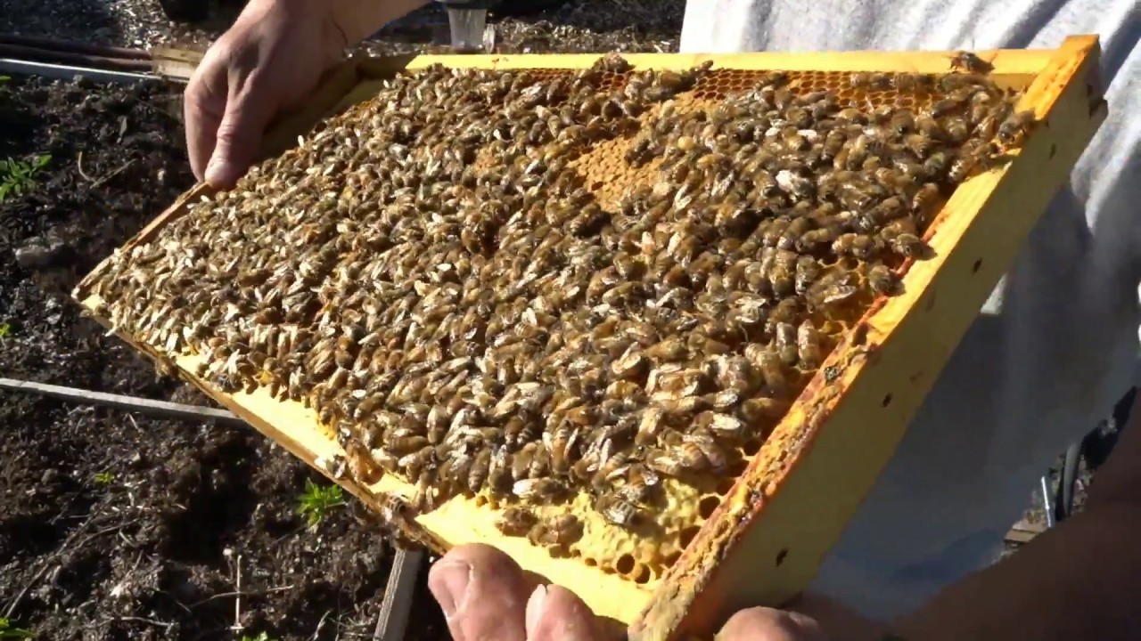 Walk away split - YouTube