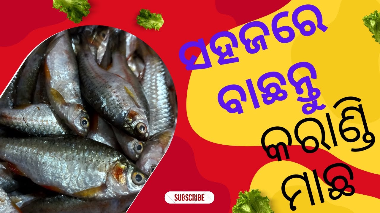 କରାଣ୍ଡି ମାଛ ବଛା || KARANDI MACHHA || Odia Roshei || କେମିତି ବାଛିବେ ...