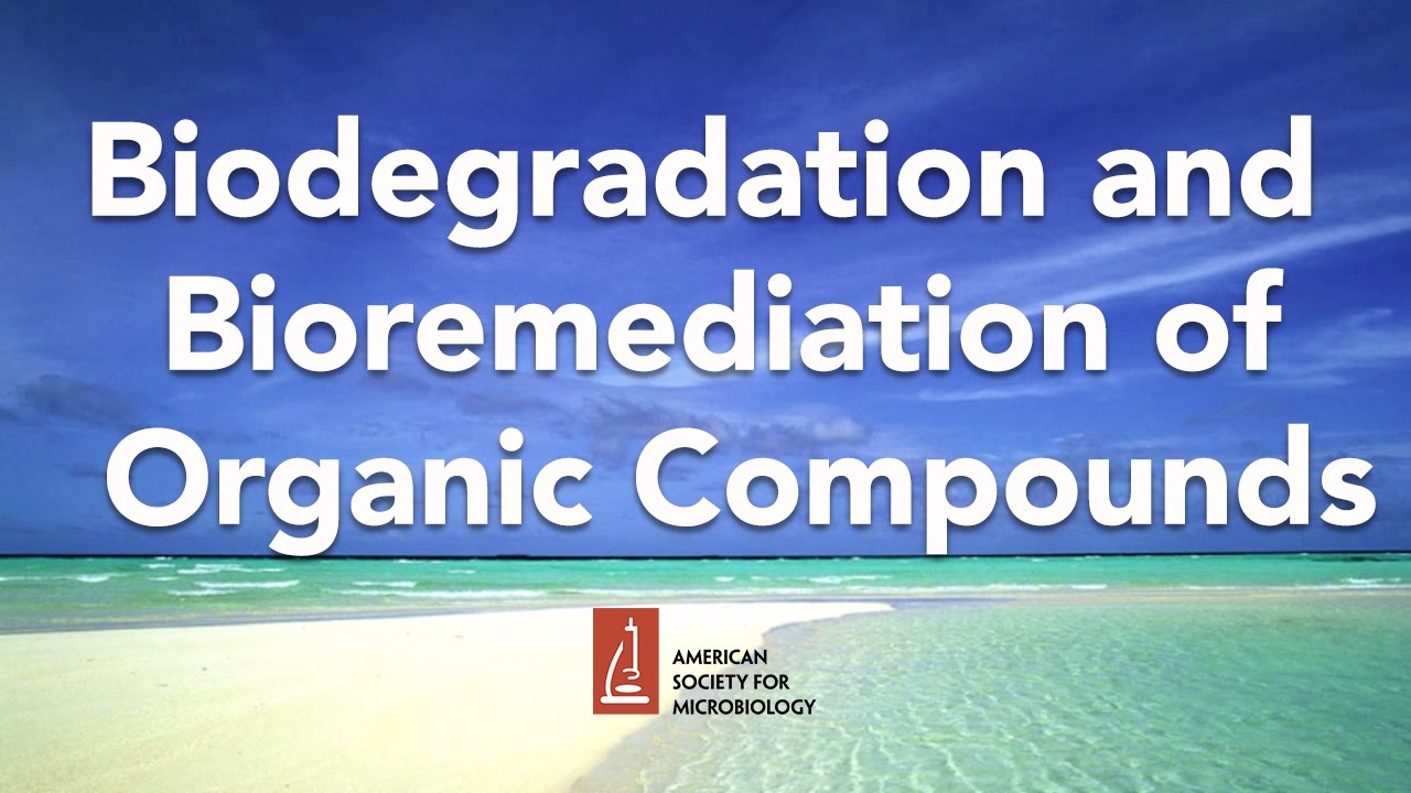 Biodegradation and Bioremediation of Organic Compounds by Lawrence ...