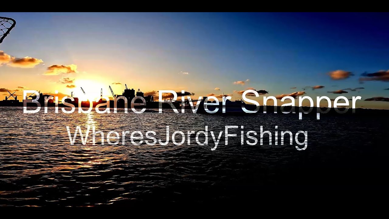 Brisbane River Snapper Fishing - YouTube