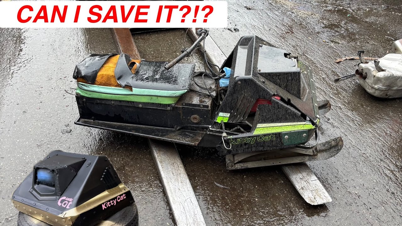 Saving this Arctic Cat Kitty Cat From the Salvage Yard! - YouTube