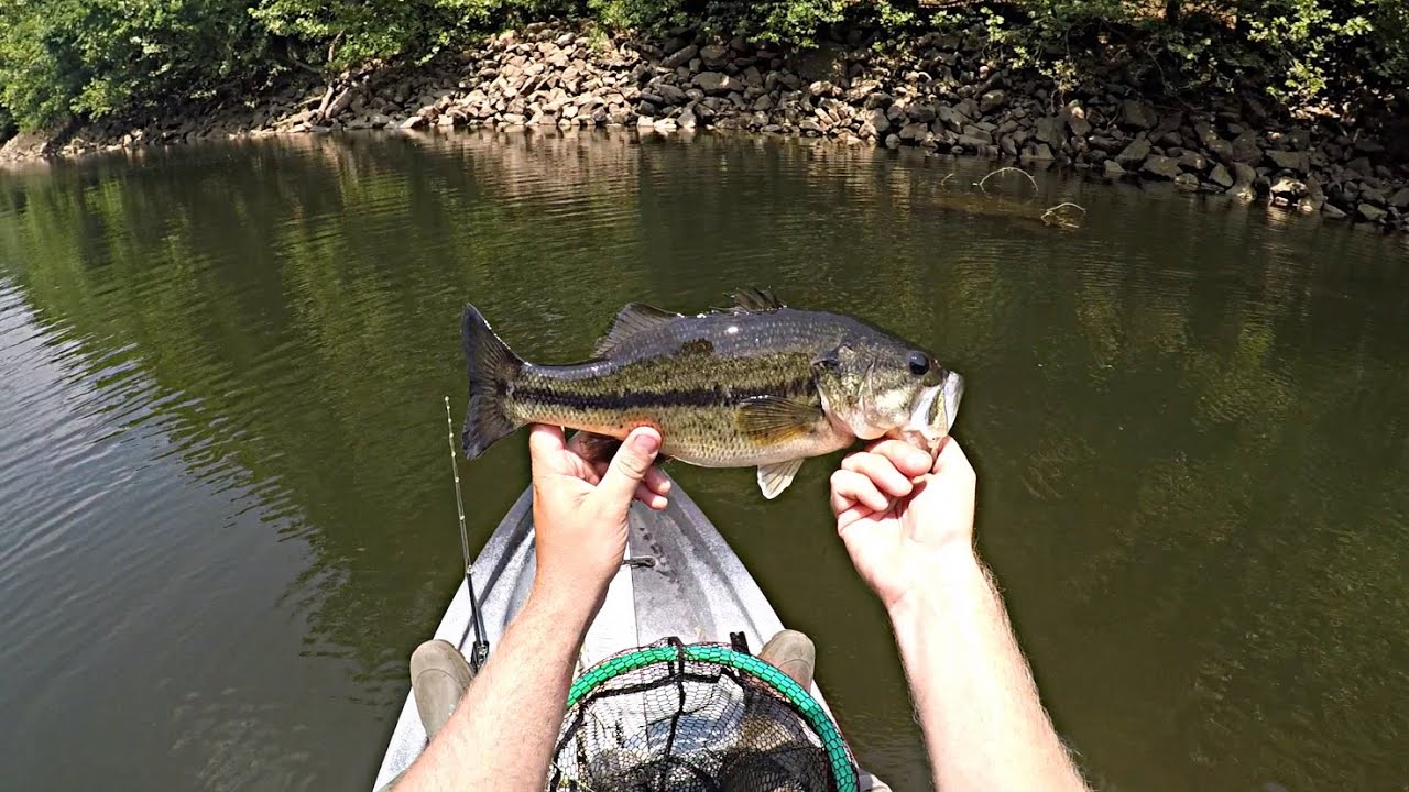 Kayak Bass Fishing The Stones River | NuCanoe Flint - YouTube