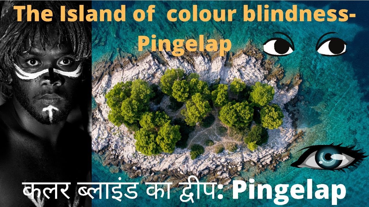 The Island of Colour Blindness : Pingelap #science #colourblindness ...