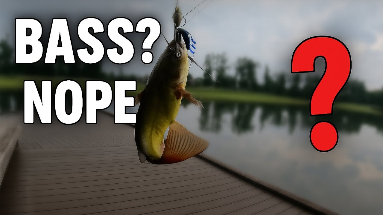Bass Fishing Gone Wrong… | Solo Fishing #4 - YouTube