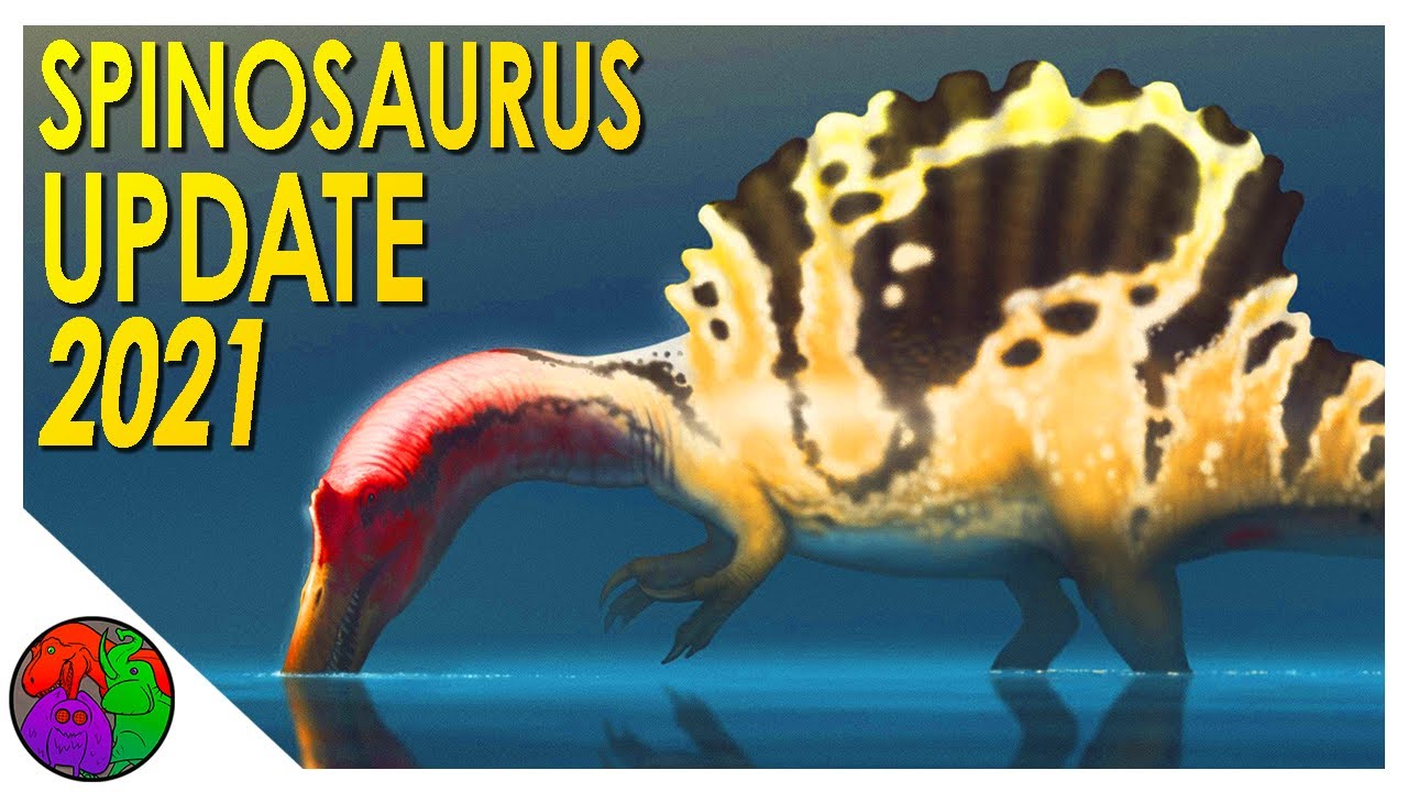 Spinosaurus Update 2021 | Re-Upload - YouTube