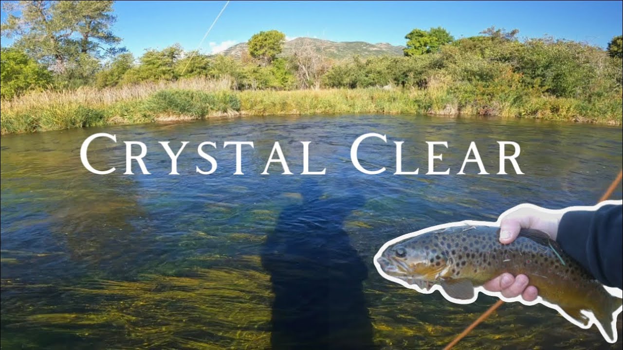 Utah “Junk” Fishing For Brown Trout | Road To 30 Inches #3 - YouTube