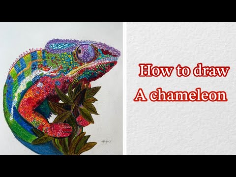 How to draw a chameleon with colored pencils | AarthiArt - YouTube