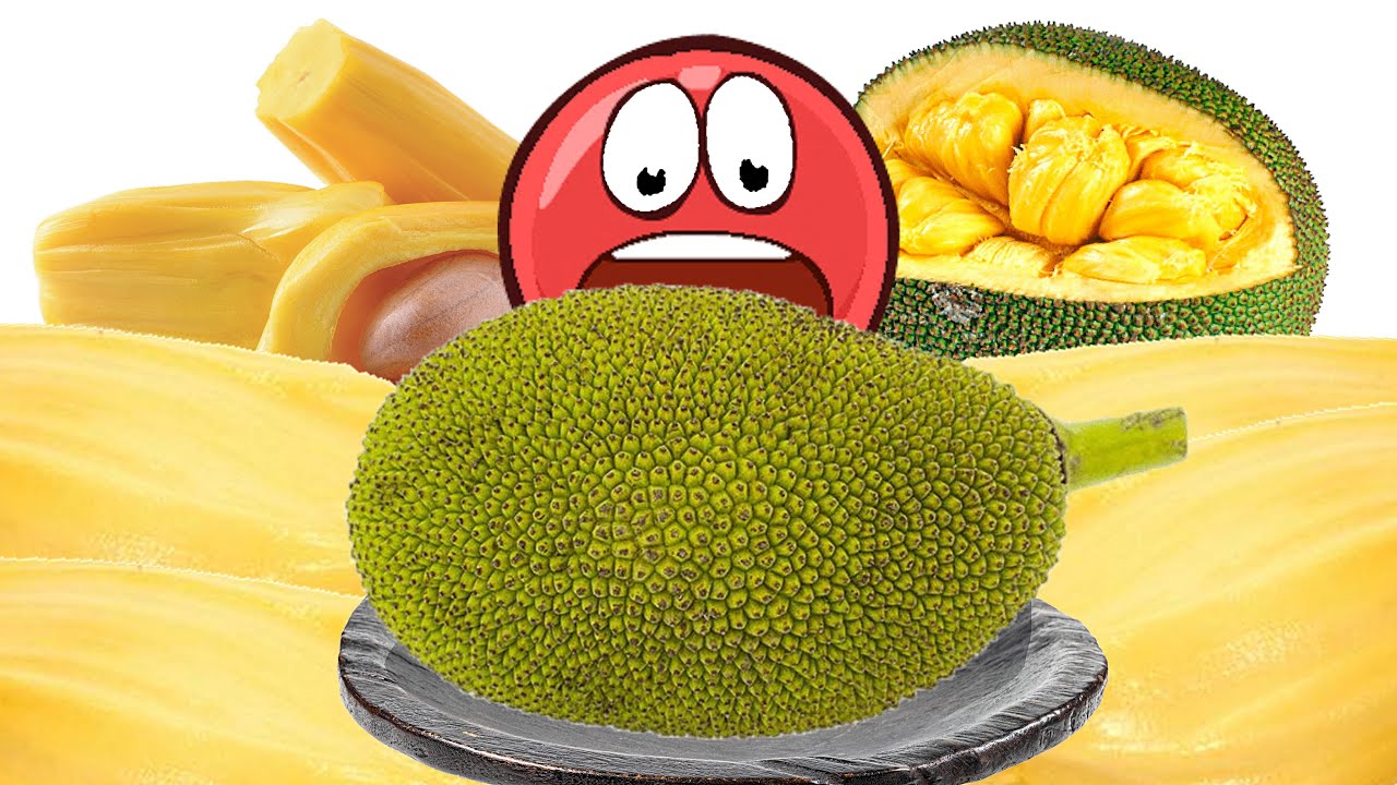 ASMR JACKFRUIT EATING with RED BALL 4 MUKBANG ANIMATION #Shorts - YouTube