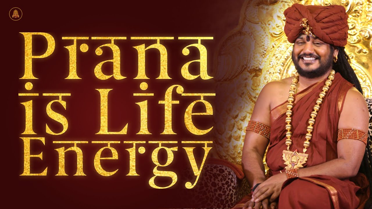 Prana is Life Energy | Nithyananda Satsang | 16 Aug 2016 - YouTube