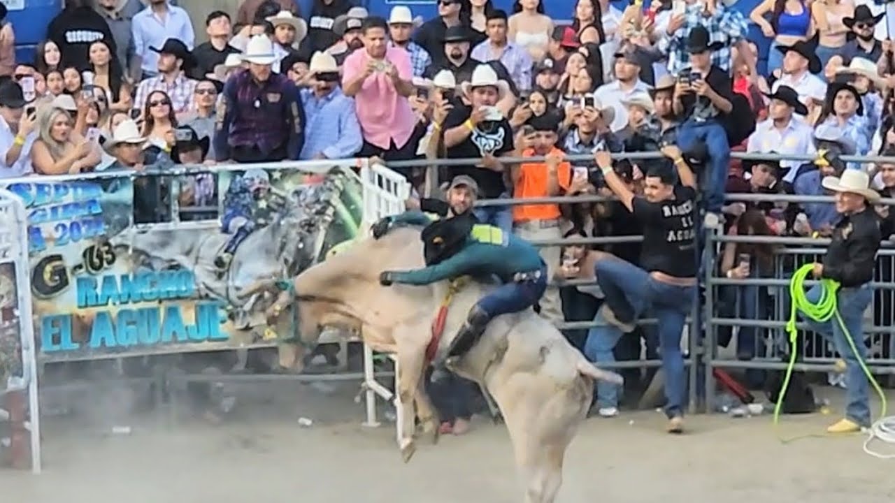 EL TORO G63 FUE LA MONTA MAS ESPERADA - YouTube