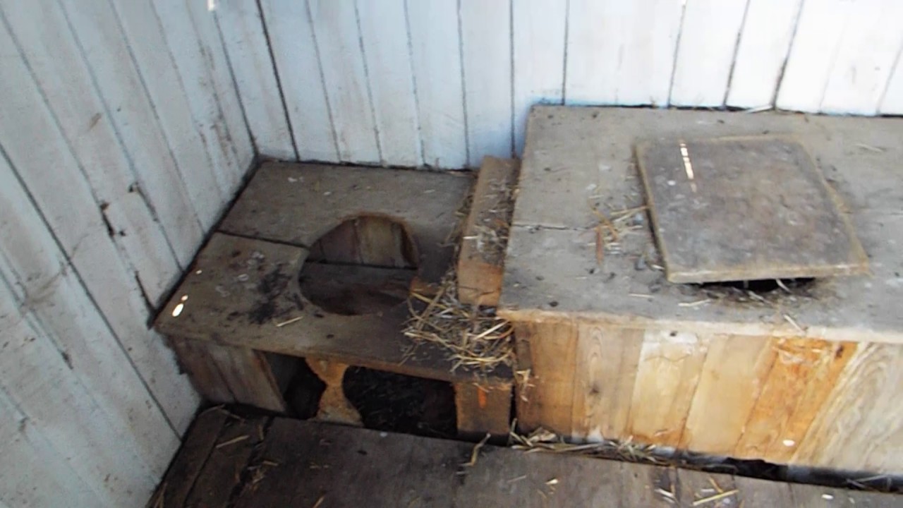 1.8 Billion People Utilize Pit Latrines (Outhouses) Each Day Including ...