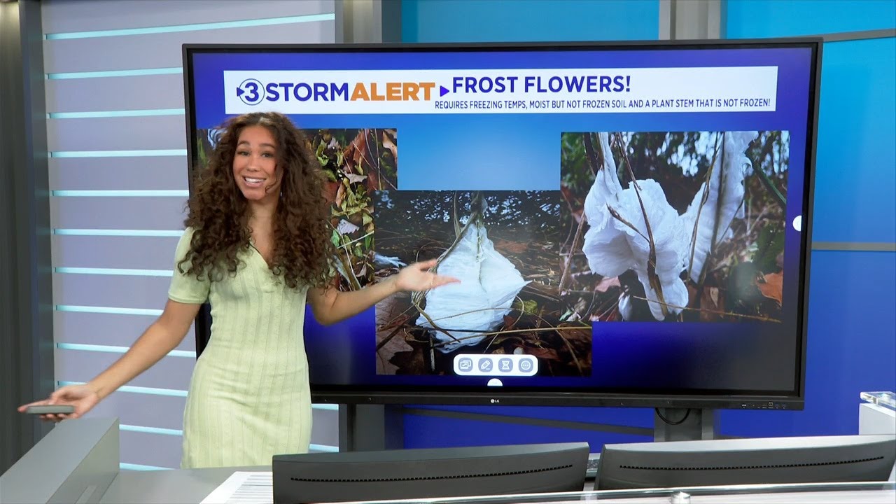 Hannah Skye explains frost flower phenomenon around the TN Valley - YouTube