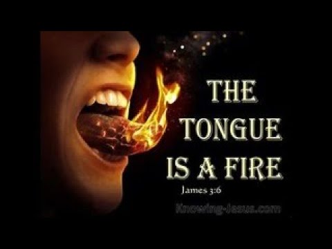 morning scripture November 27 2024 - YouTube