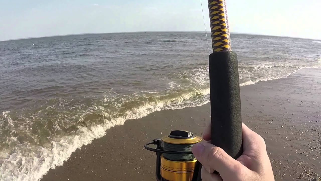 Surf Fishing for Bluefish (Spring 2015) - YouTube