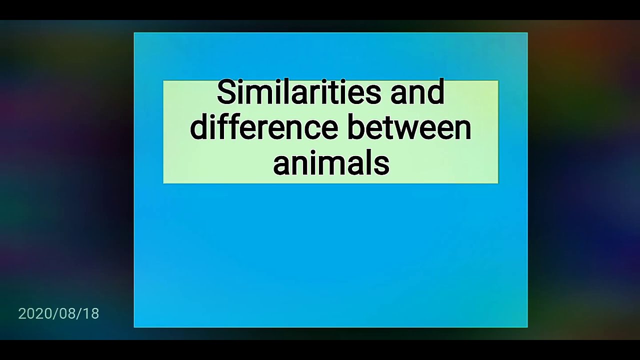 Similarities and difference between animals | 🐕🐎🐅🐒🐪🐀🐇🕊️🦎🐜 - YouTube