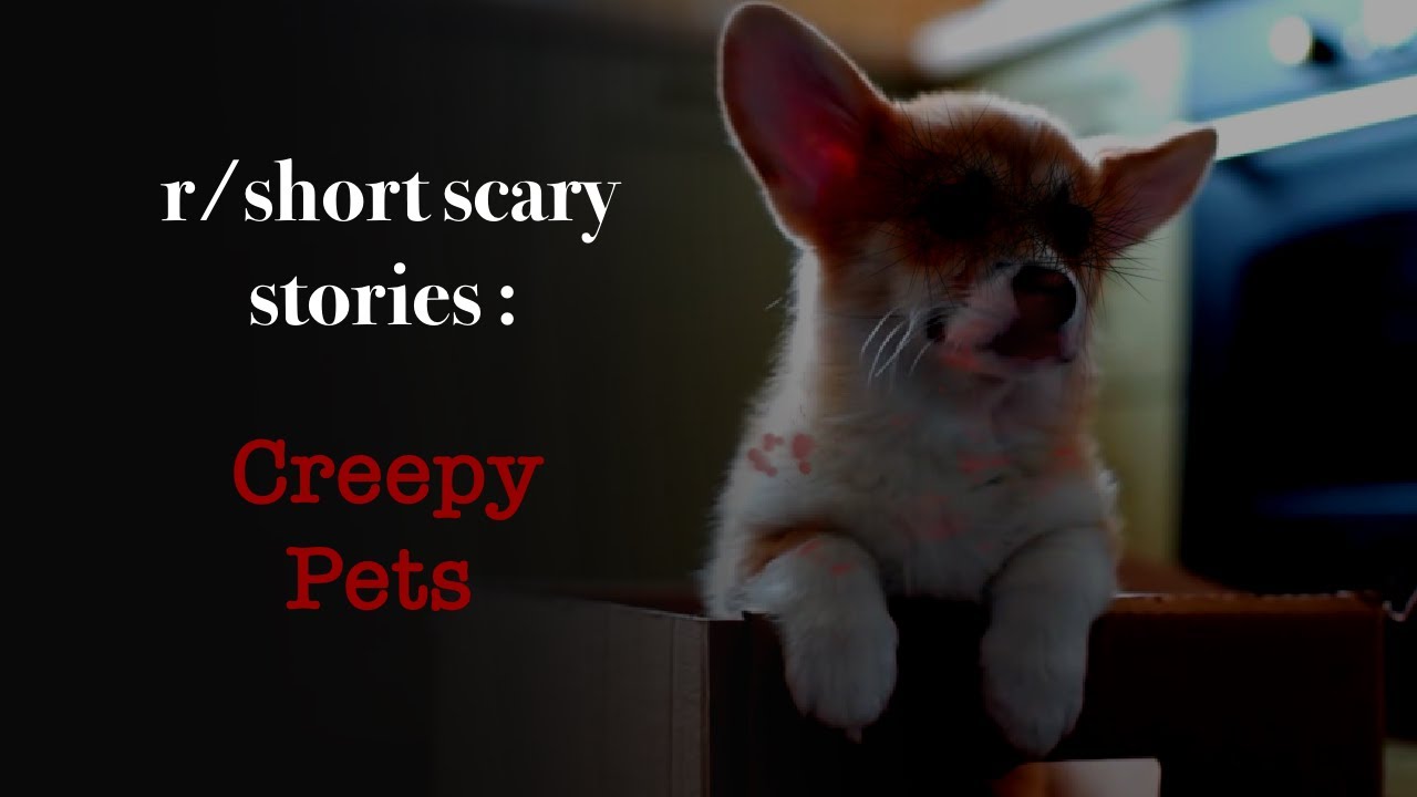 4 Scary Stories From r/shortscarystories: Creepy Pets - YouTube