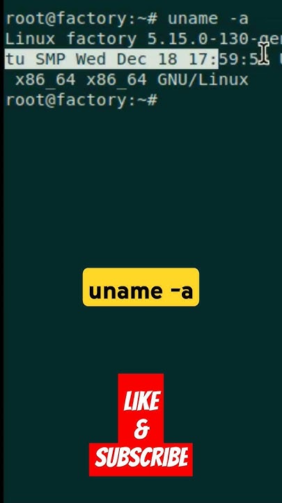 uname command in Linux #linuxforbeginners #devops #linuxsystem #Linux ...