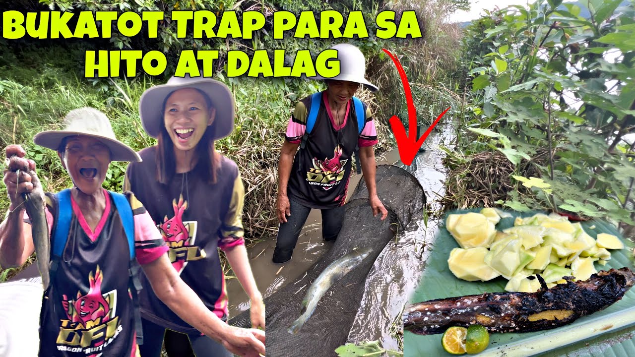 EP-409 | Naglagay kami ng bukatot trap para sa hito at dalag marami ...