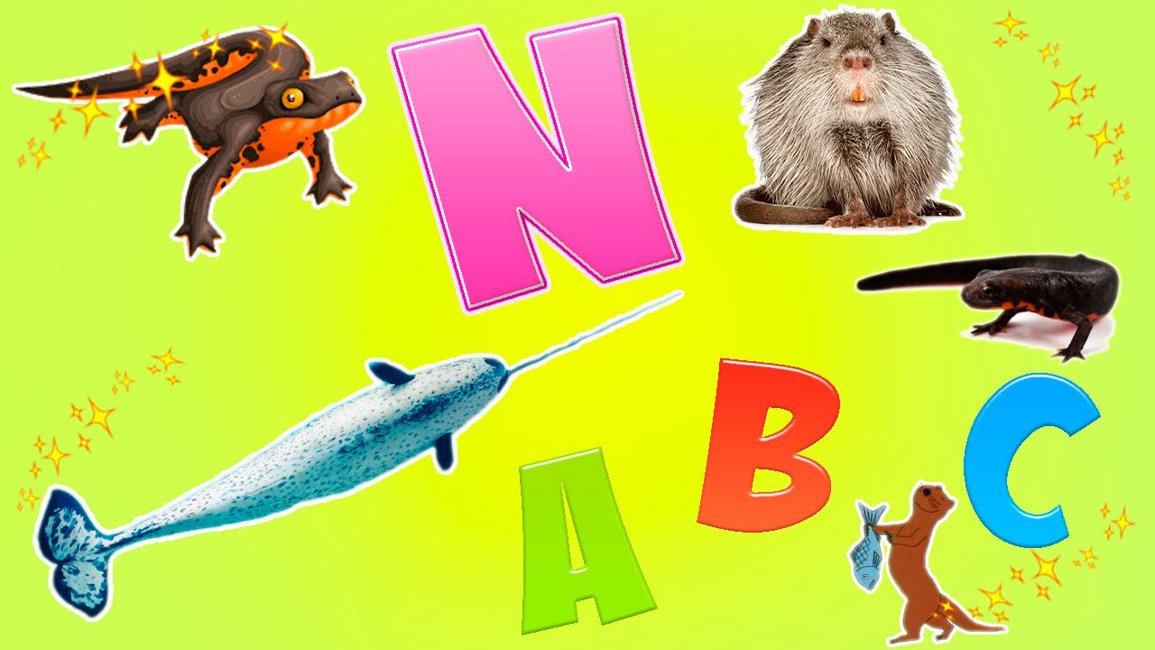 Learn Alphabet with Cartoon & Real Animals for children | ABC Wild ...