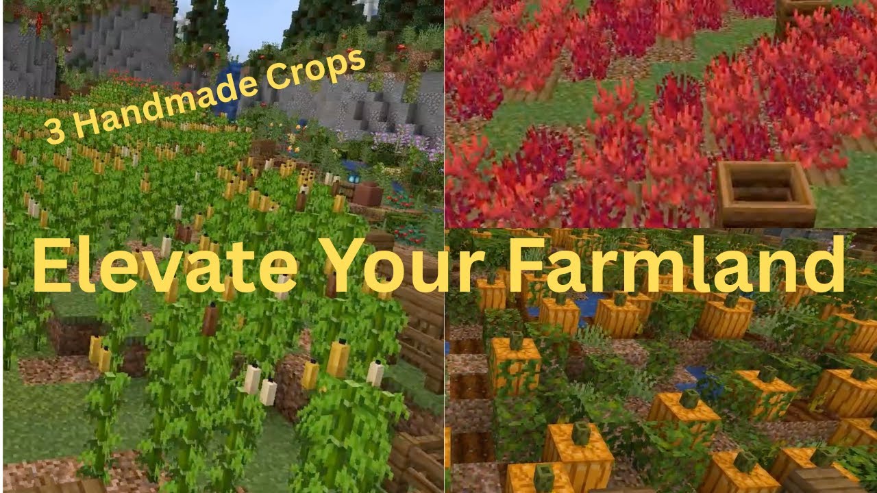 I Built 3 Realistic Custom Crop Fields in Minecraft - YouTube