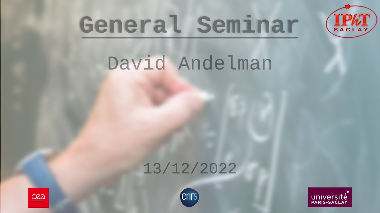 David Andelman (2022) - One hundred years of electrified interfaces ...