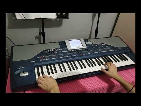 şeyh şamil korg pa 800 çerkes müziği