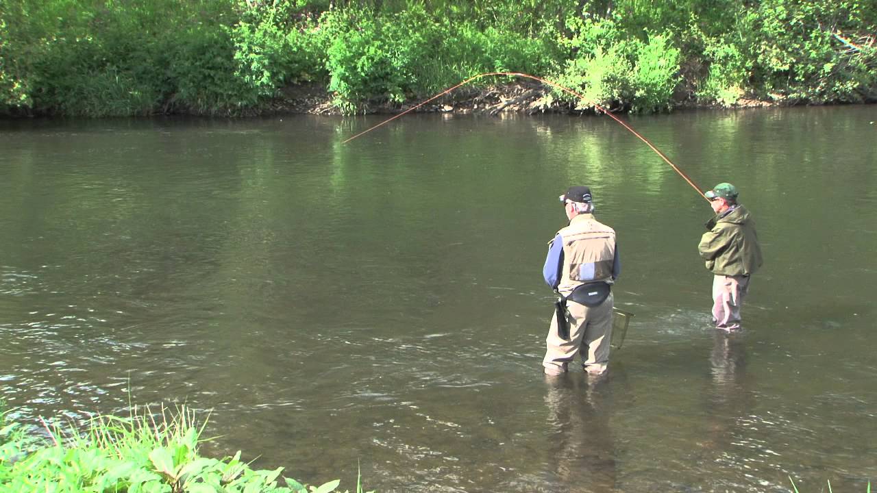 Snowbee XS-Plus Thistledown Fly Line - YouTube