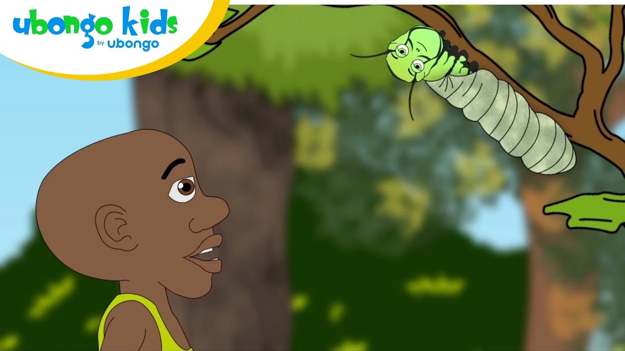 Baraka anatamani kuwa mrefu! | Darasani na Ubongo Kids | Katuni za ...