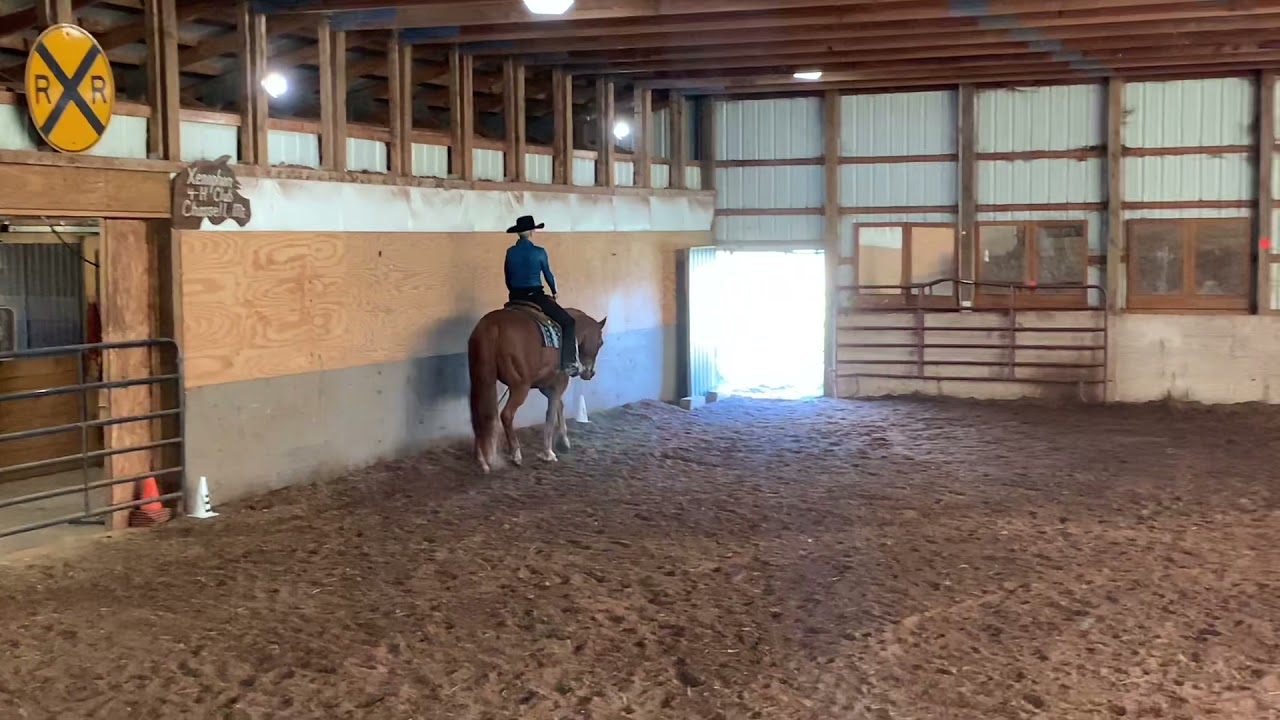 Western Dressage, WDAA Basic Level Test 3. - YouTube