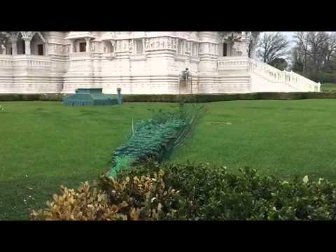 Çox gözel yaratmış, uca yaradan