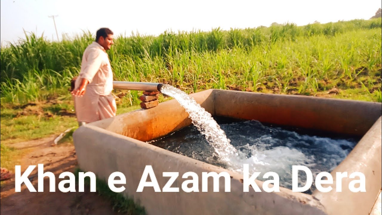 Going To Khan e Azam Dera chak 268 .. - YouTube