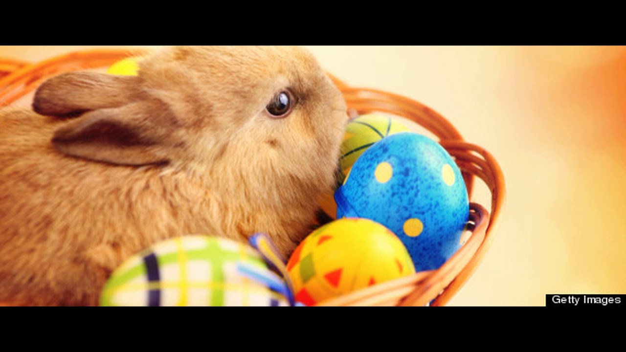 Cuento: El conejito de Pascua - YouTube