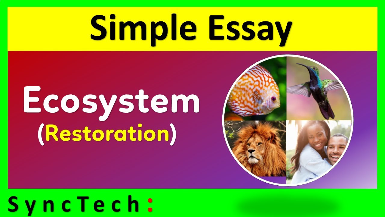 Essay on ecosystem restoration in English | Short essay on ecosystem ...