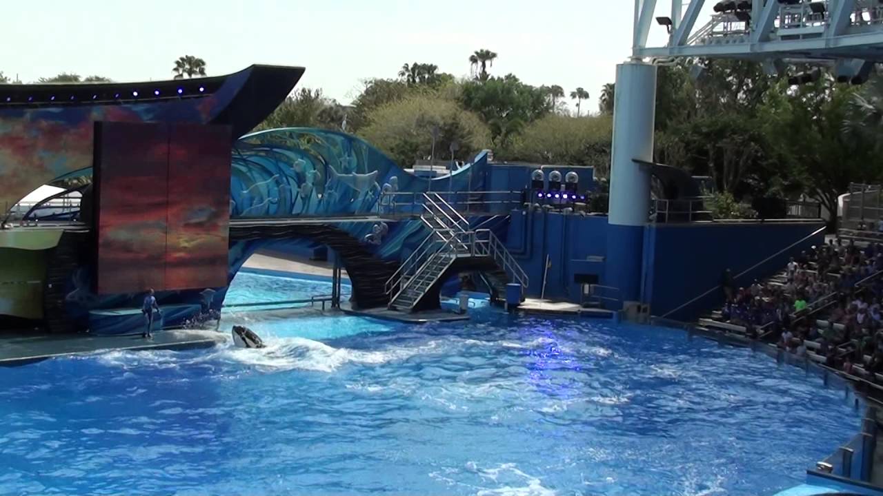 One Ocean - SeaWorld 4/4/16 - YouTube