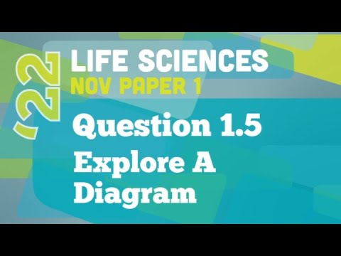 Past Papers 2022: Life Science: Paper 1: Question 1.5 - YouTube