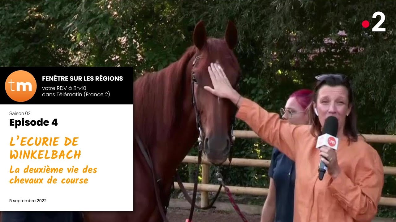 La deuxième vie des chevaux de course à l'écurie du Winkelbach ...