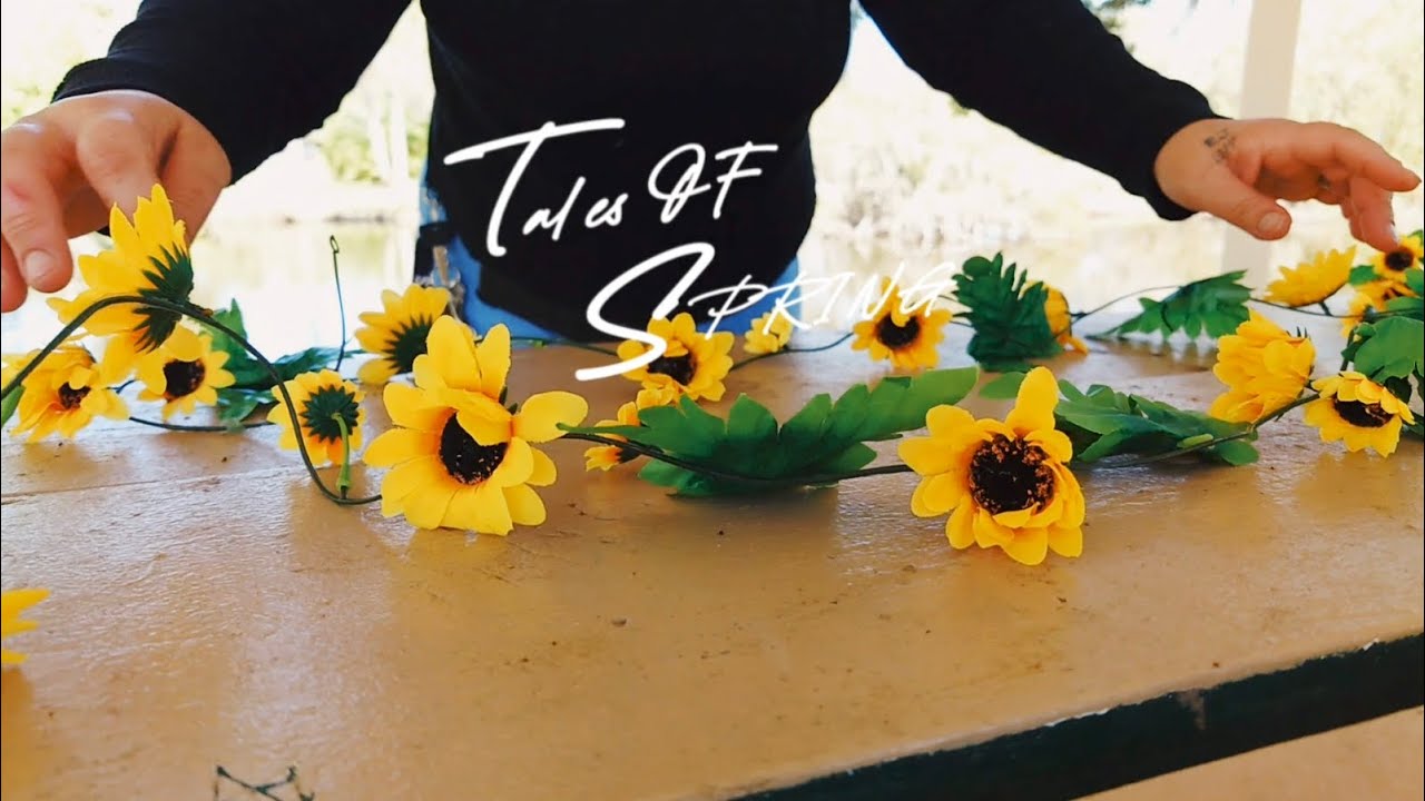 newborn photoshoot behind the scenes - YouTube
