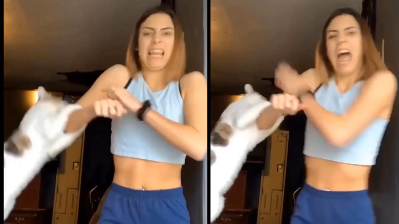 ANGRY CATS ATTACKING PEOPLE COMPILATION - A MUST WATCH VIDEO OF 2024 ...