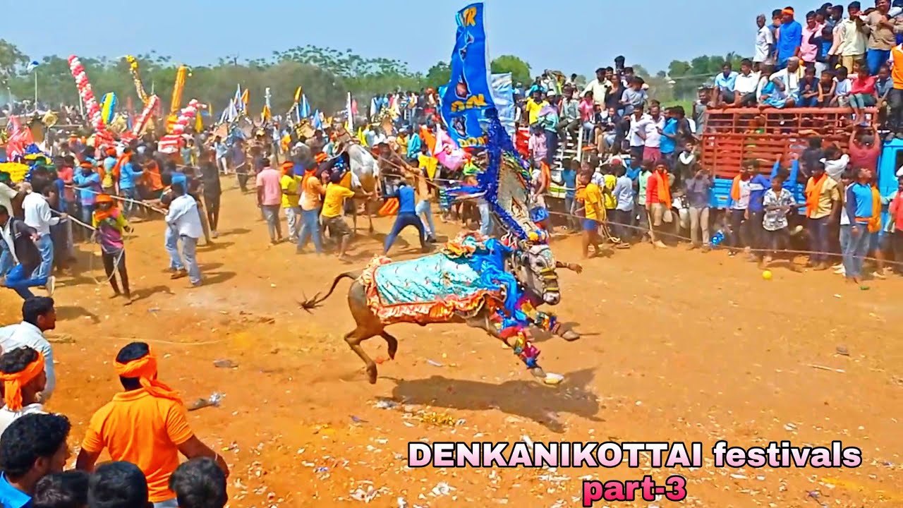 DENKANIKOTTAI festivals part-3 @msbull8651 - YouTube