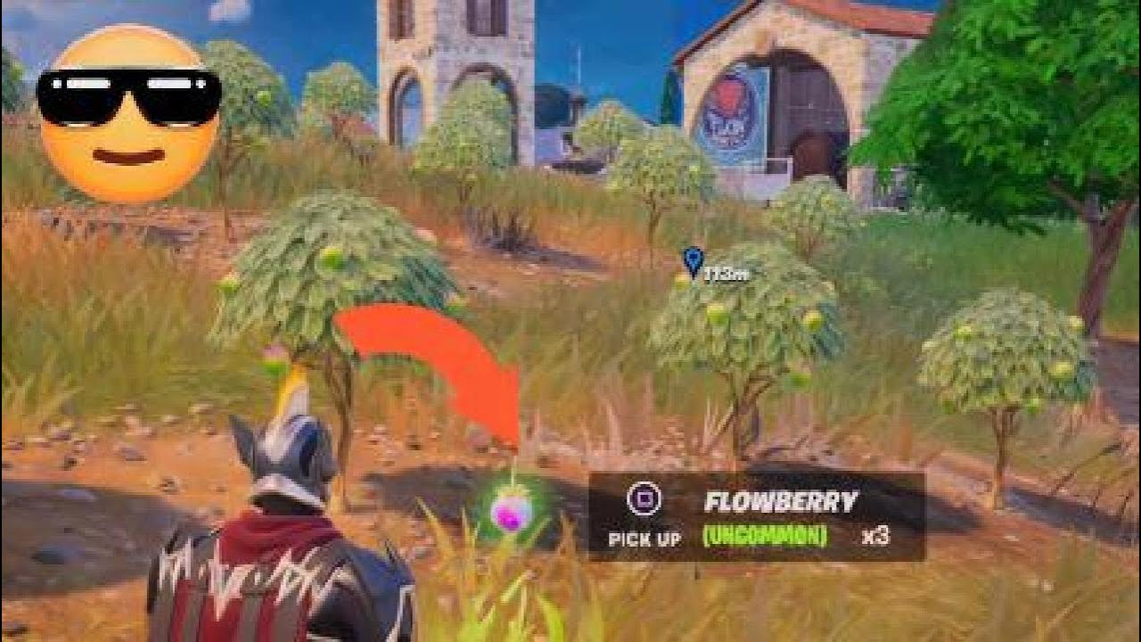 Easily Collect Flowberries at Fencing Fields - Stage 3 of 15 - Fortnite ...