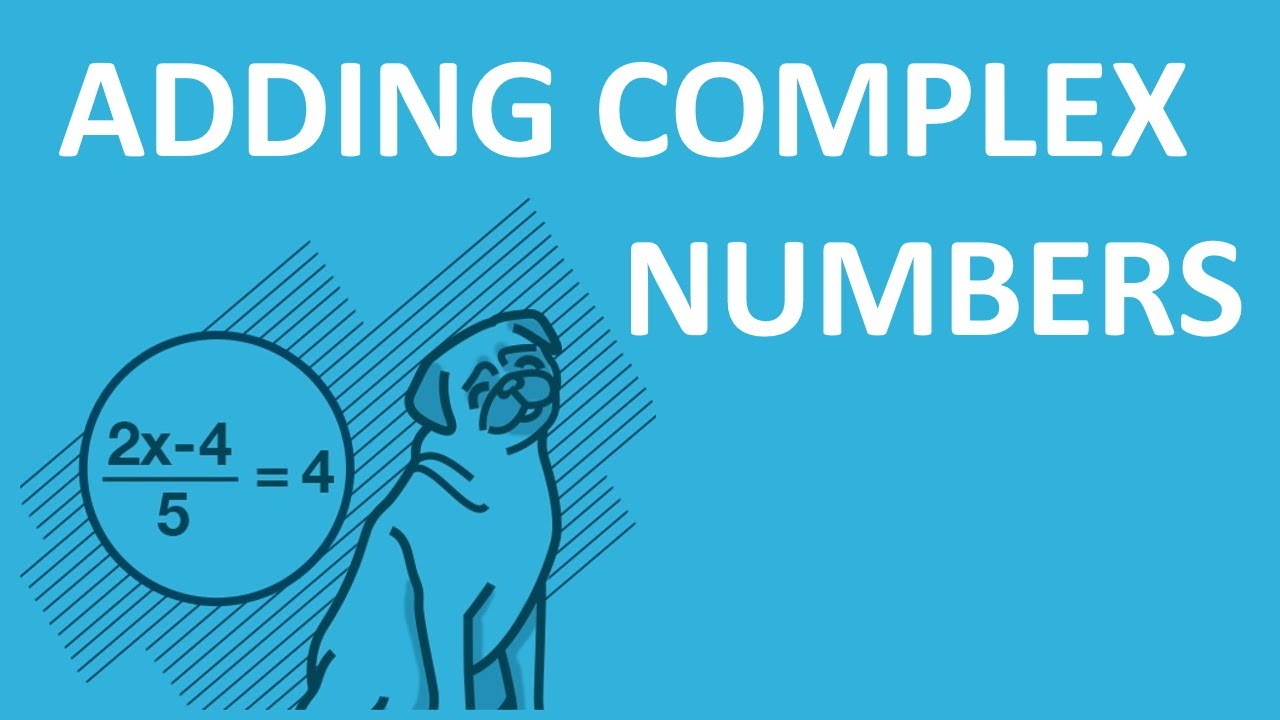 ʕ•ᴥ•ʔ Adding Complex Numbers - YouTube