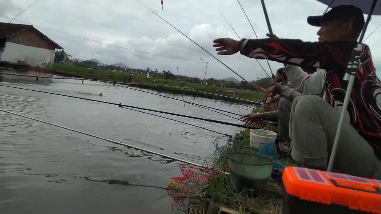 Mancing Nila Umpan Lumut - YouTube