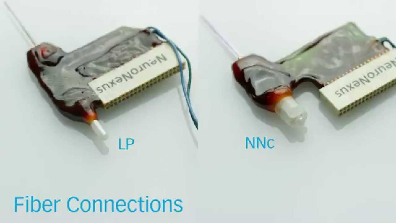 How to Order a NeuroNexus Optrode - YouTube