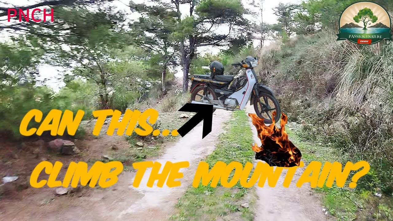 🏍️🏍️😵Wild Mountain Rides😵 | Exploring Serene Wilderness by Motorcycle ...