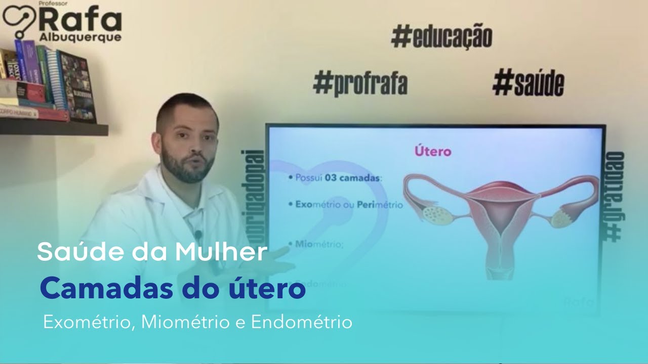 Camadas do Útero - EXOmétrio, MIOmétrio e ENDOmétrio - YouTube