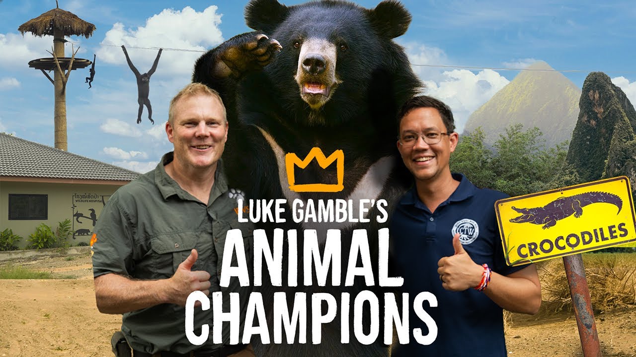 Conservation Vs Illegal Wildlife Trade | Animal Champions - YouTube