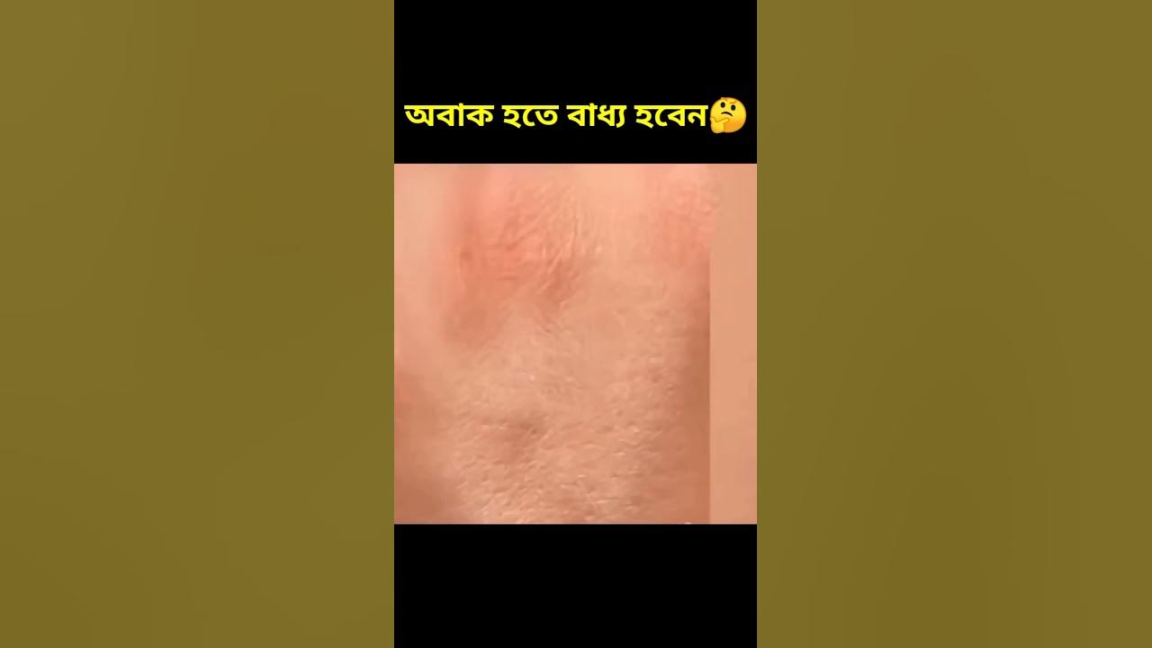 এটা দেখলে বিশ্বাস হবে না 😱 Shorts Ytshorts Viralshorts Youtube