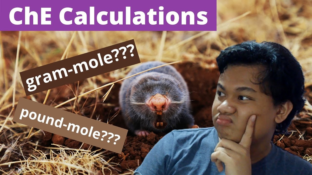 CHEMICAL ENGINEERING CALCULATIONS HOW TO CONVERT G MOL TO LB MOL AND chemical-engineering-calculations-how-to-convert-g-mol-to-lb-mol-and